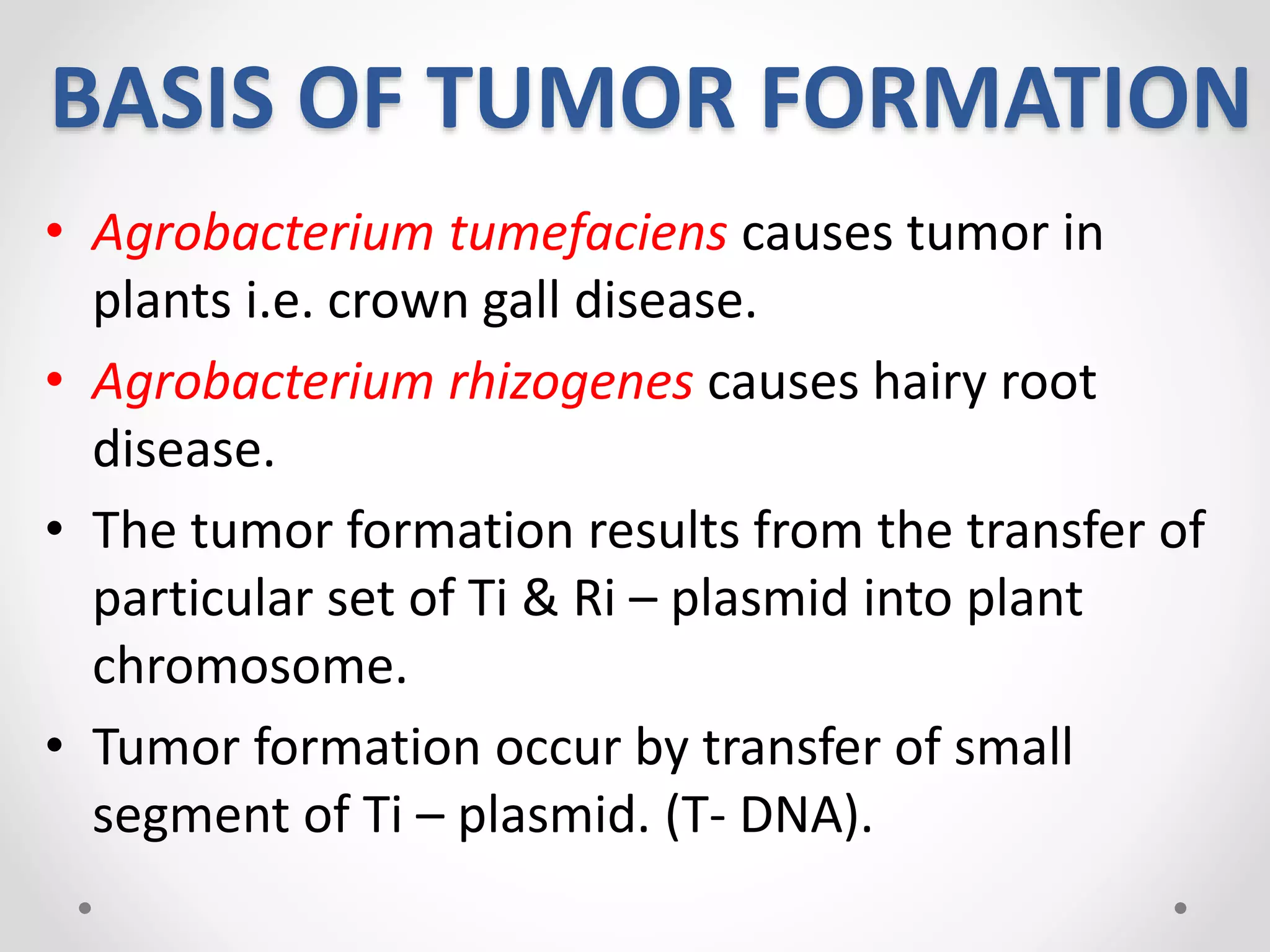 Tumor formtion , ti ri plasmid , dna trnsfr. | PPTX