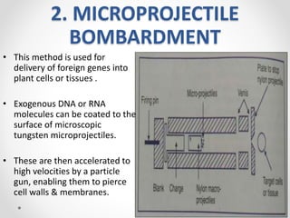Tumor formtion , ti ri plasmid , dna trnsfr. | PPTX
