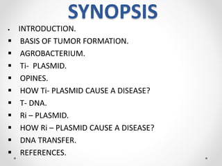 Tumor formtion , ti ri plasmid , dna trnsfr. | PPTX