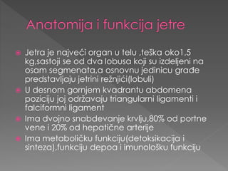 Tumori_jetre.pdf Tumori jetre za edukovanje | PDF