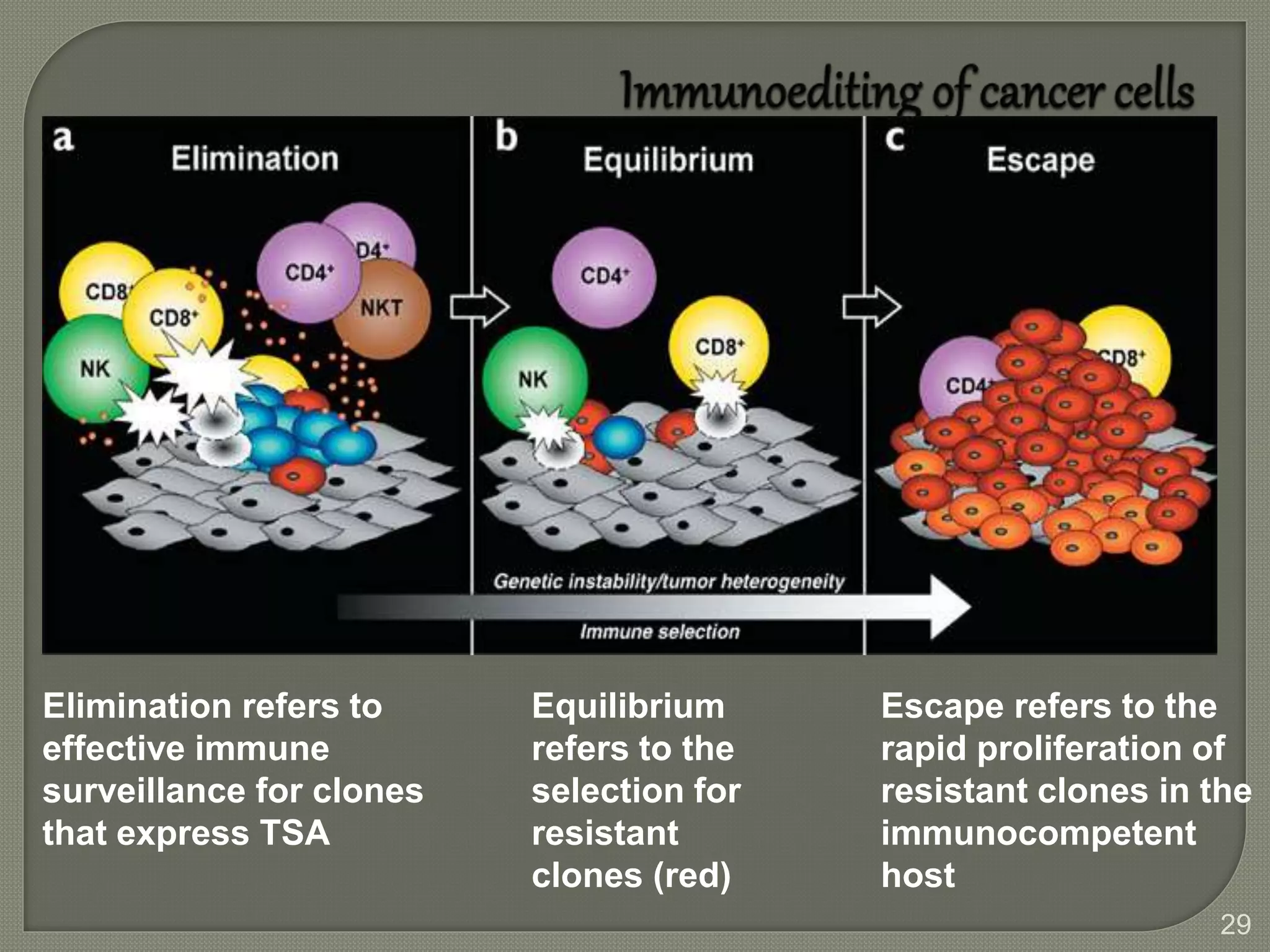 Tumor immunology | PPT
