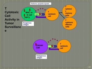 tumor immunology.pptx