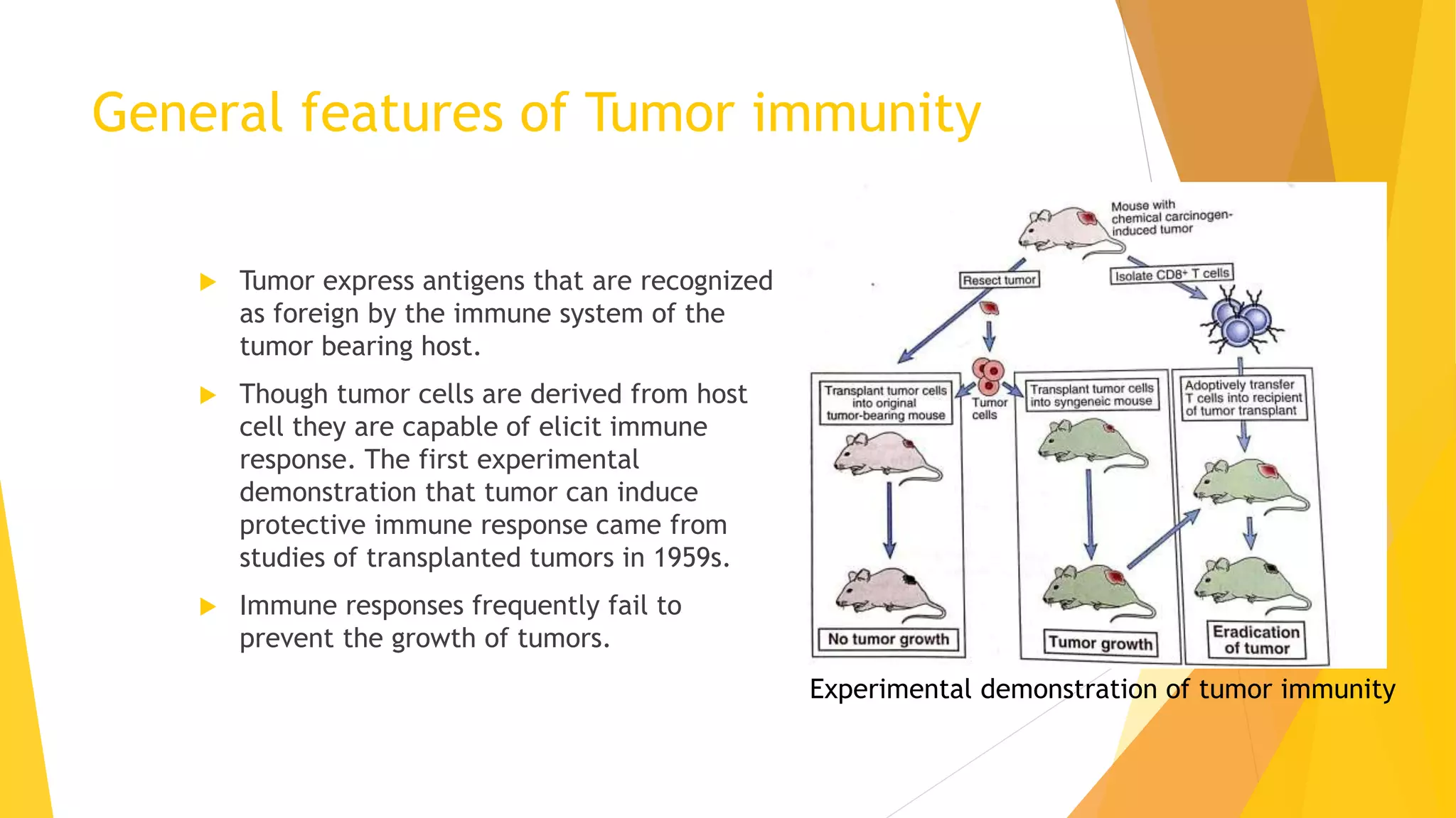 Tumor immunology by nidhi | PPTX