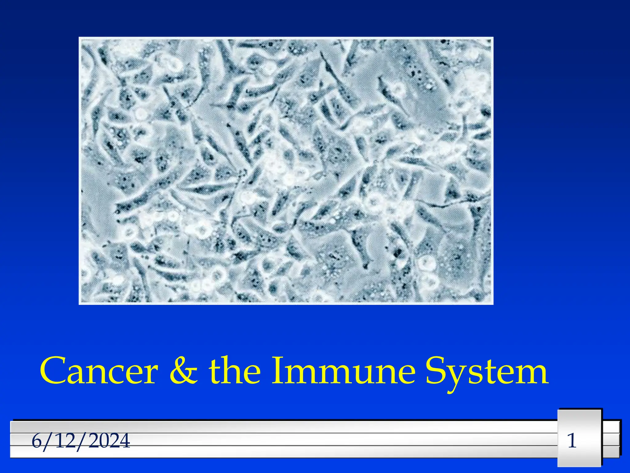 tumor immunology for Cancer & the Immune System.ppt