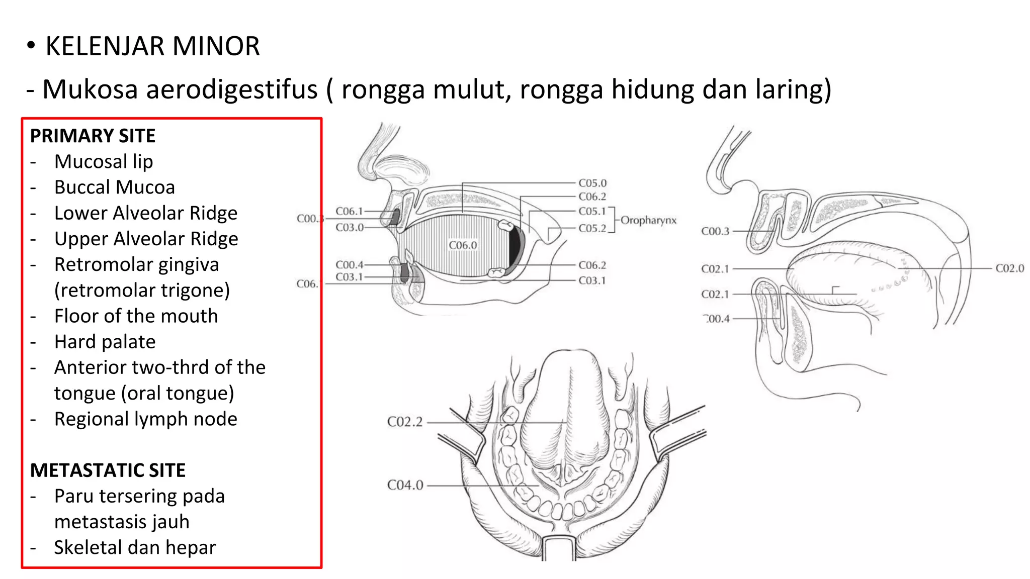 TUMOR KELENJAR LIUR.pptx