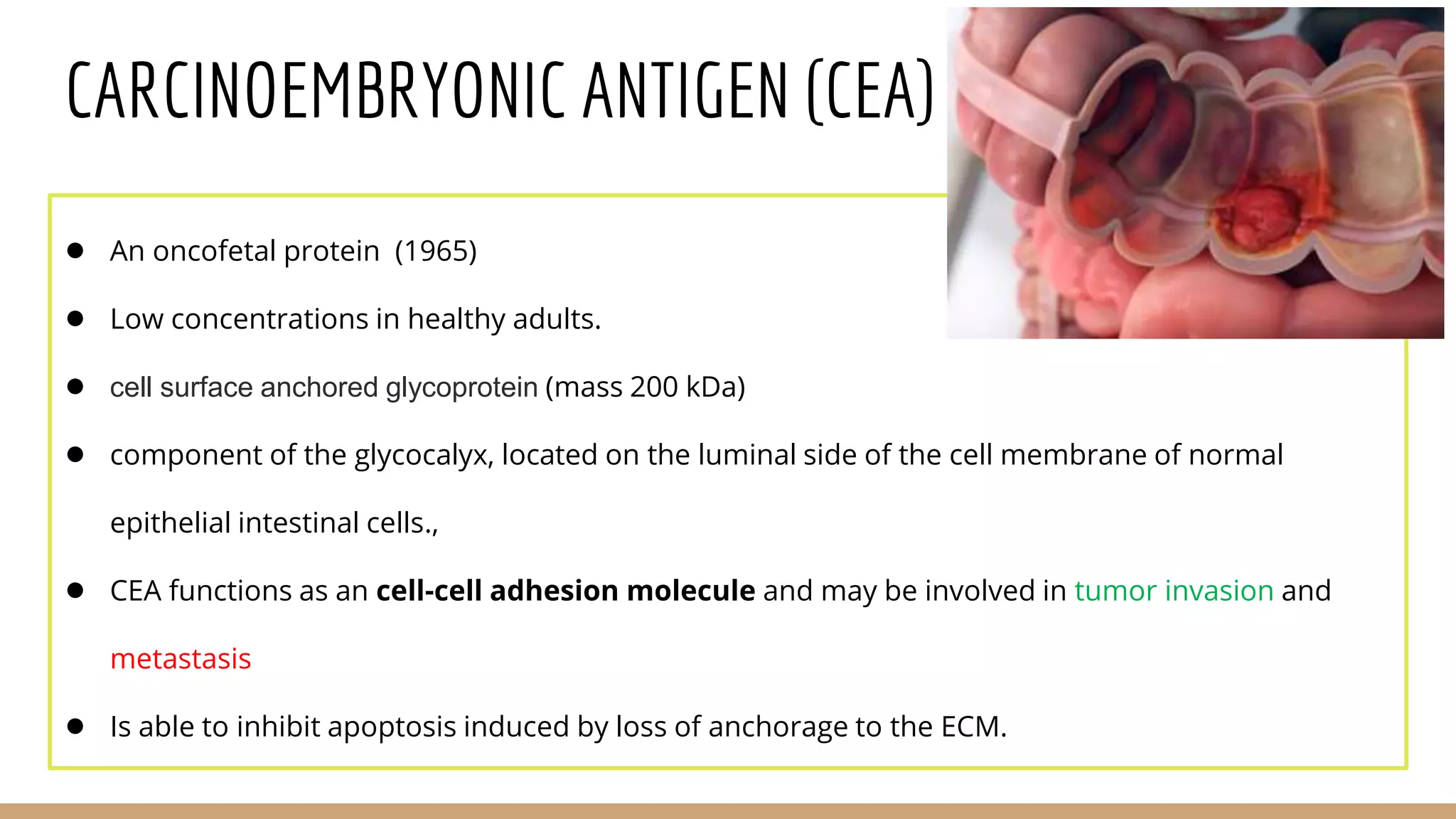 Tumor marker /Cancer Biomarkers (Updated) | PPTX