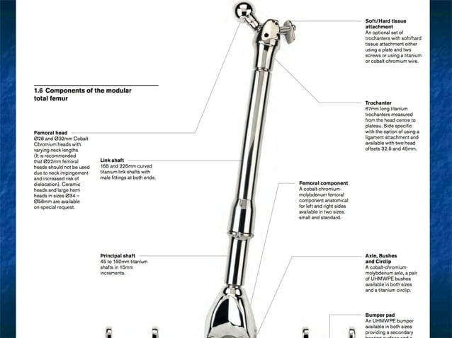 Tumor mega prosthesis | PPT