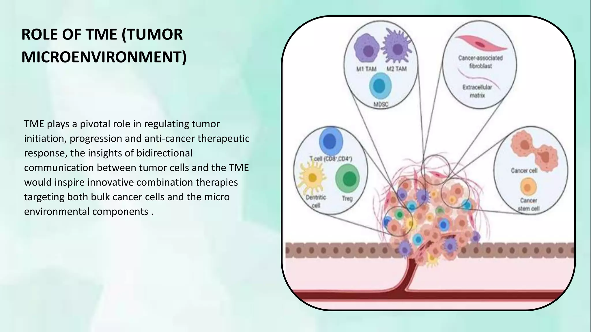 TUMOR MICROENVIORNMENT IN HEAD AND NECK CANCER.pptx