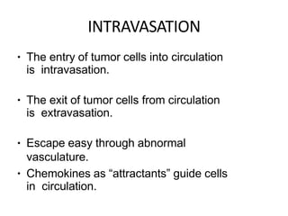 Tumor microenvironmenthjjvgbnjvbjitvbnvbb | PPTX | Endocrine and ...