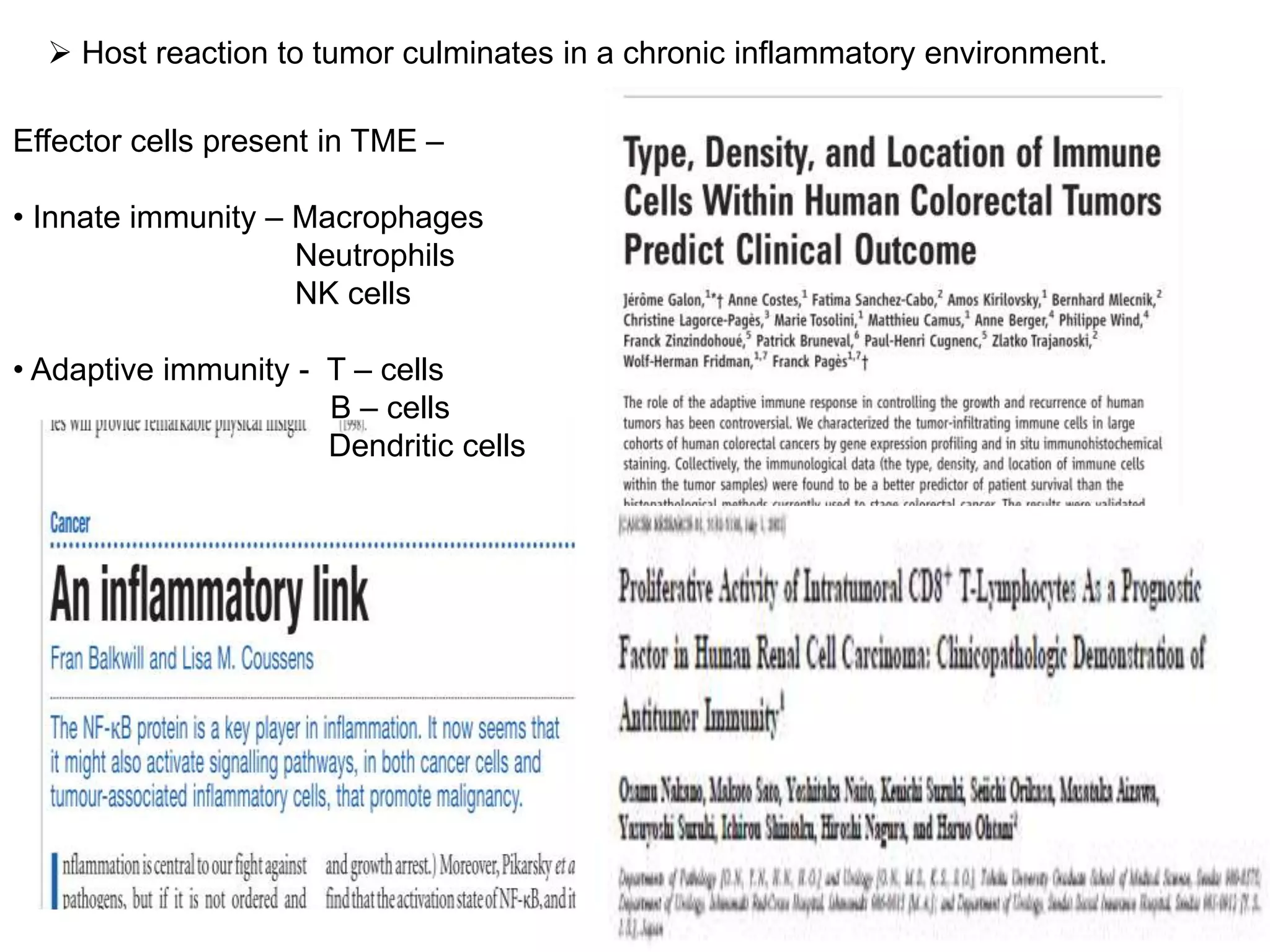 TUMOR microenvironment | PPT