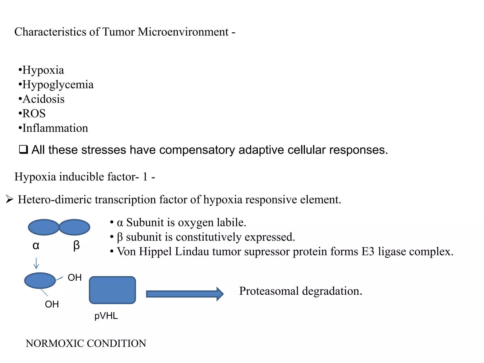 TUMOR microenvironment | PPT