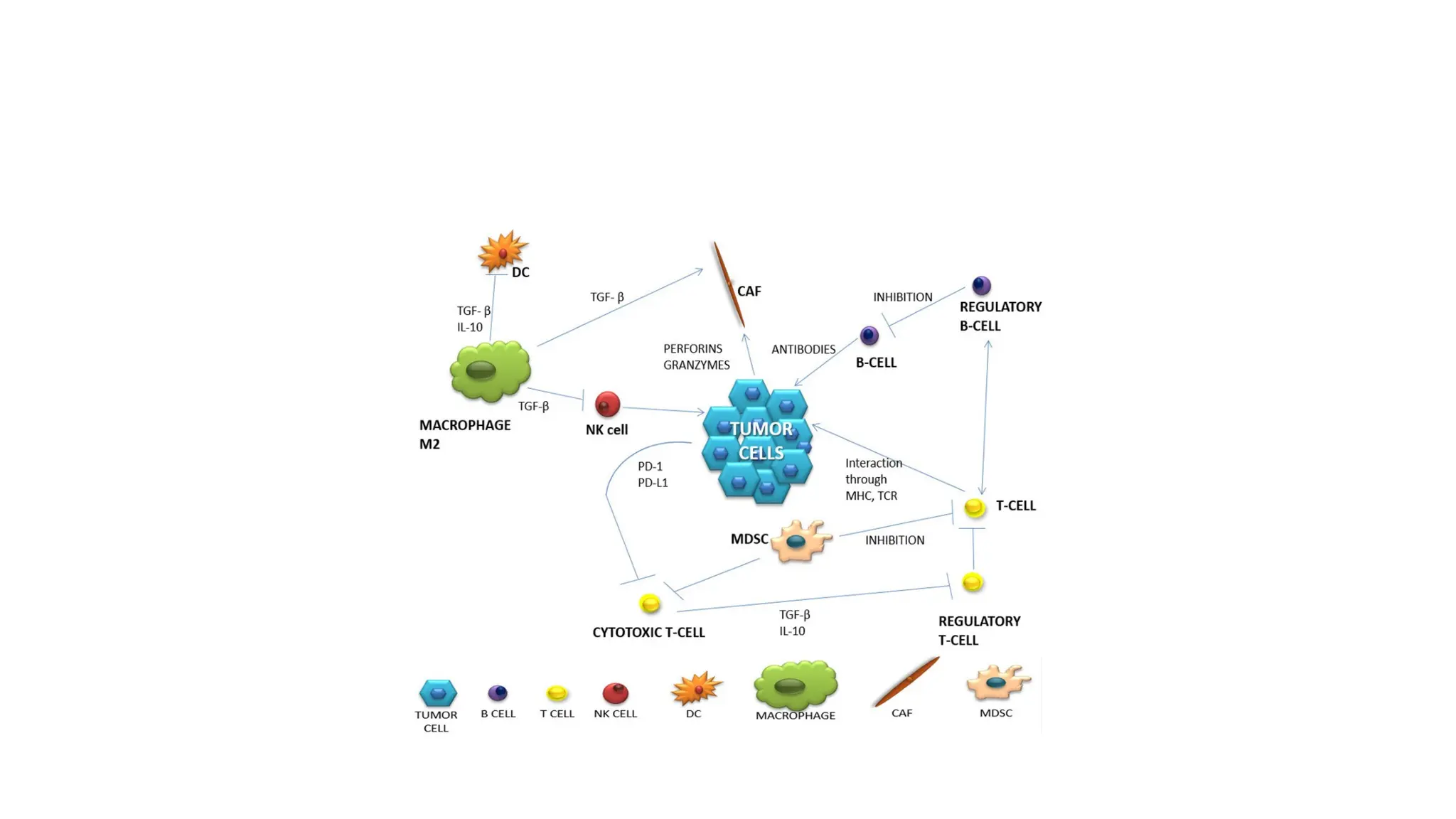 tumor microinvironment oncology cancer tab | PPT