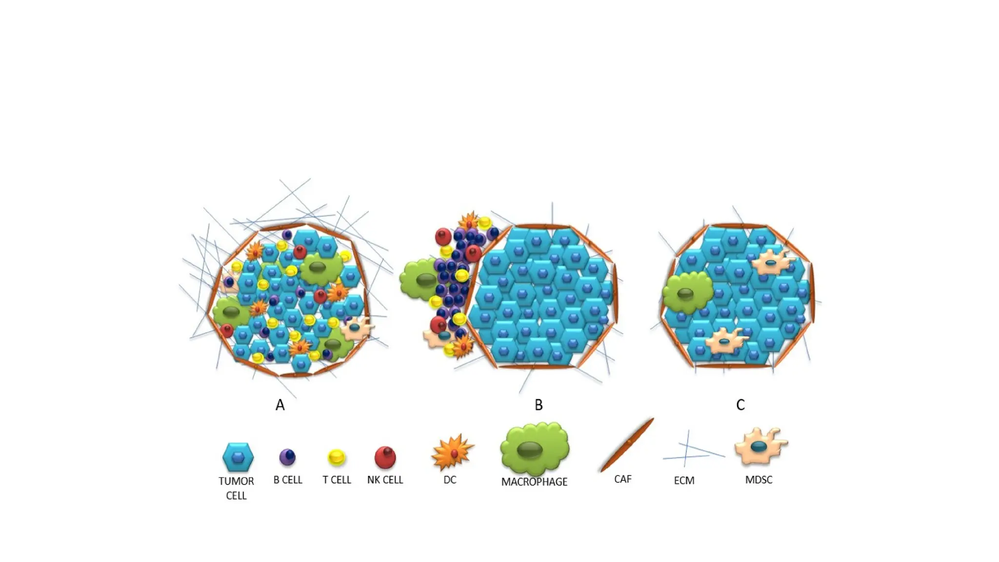 tumor microinvironment oncology cancer tab | PPTX