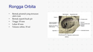 Tumor pada mata .pptx