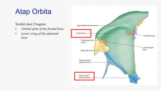 Tumor pada mata .pptx