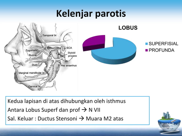 Tumor parotis ppt | PPTX