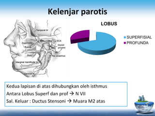 Tumor parotis ppt | PPT