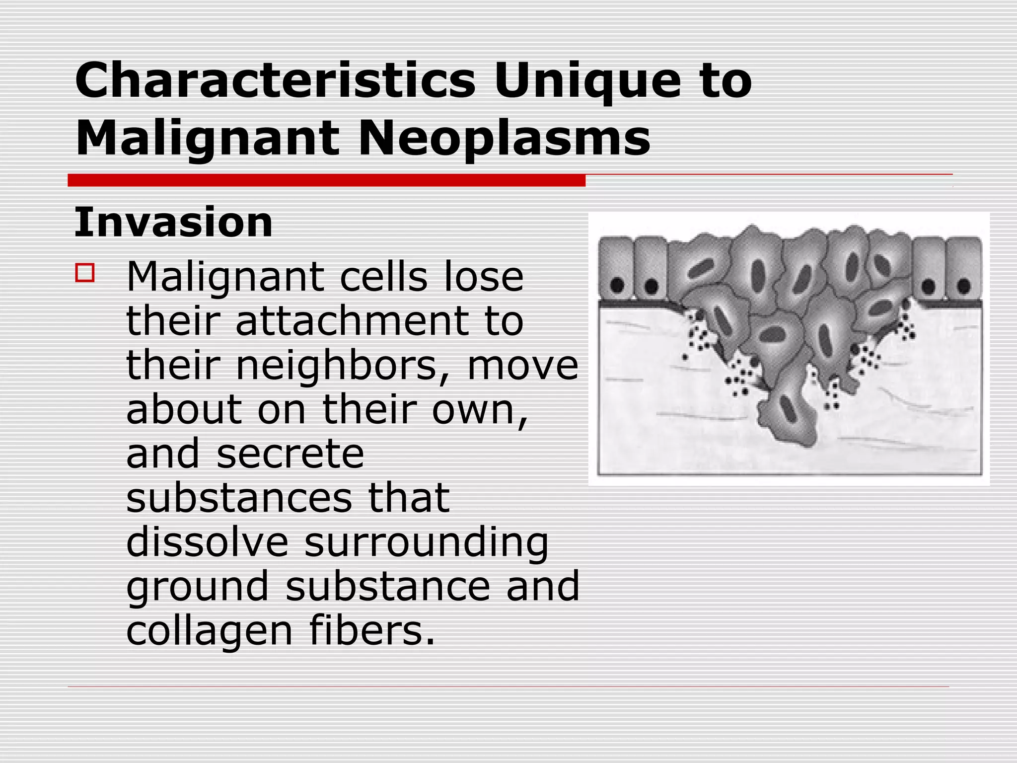Tumor pathogenesis | PPT