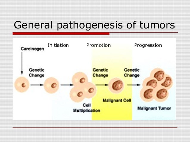 Main Steps In Tumor Progression And Metastasis Cellular Transformation