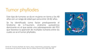 Tumor phyllodes | PPTX