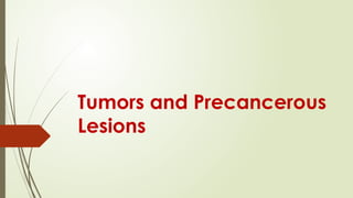 Tumors and Precancerous Lesions and how to distinguish them | PPTX