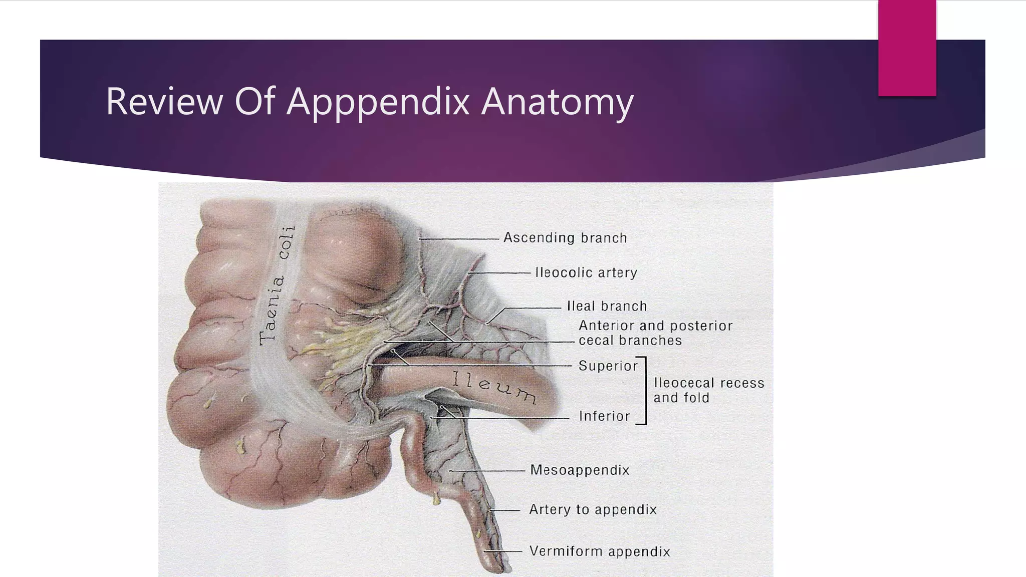 Tumors of appendix | PPTX