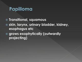 Tumors of Epithelial Tissue | PPTX