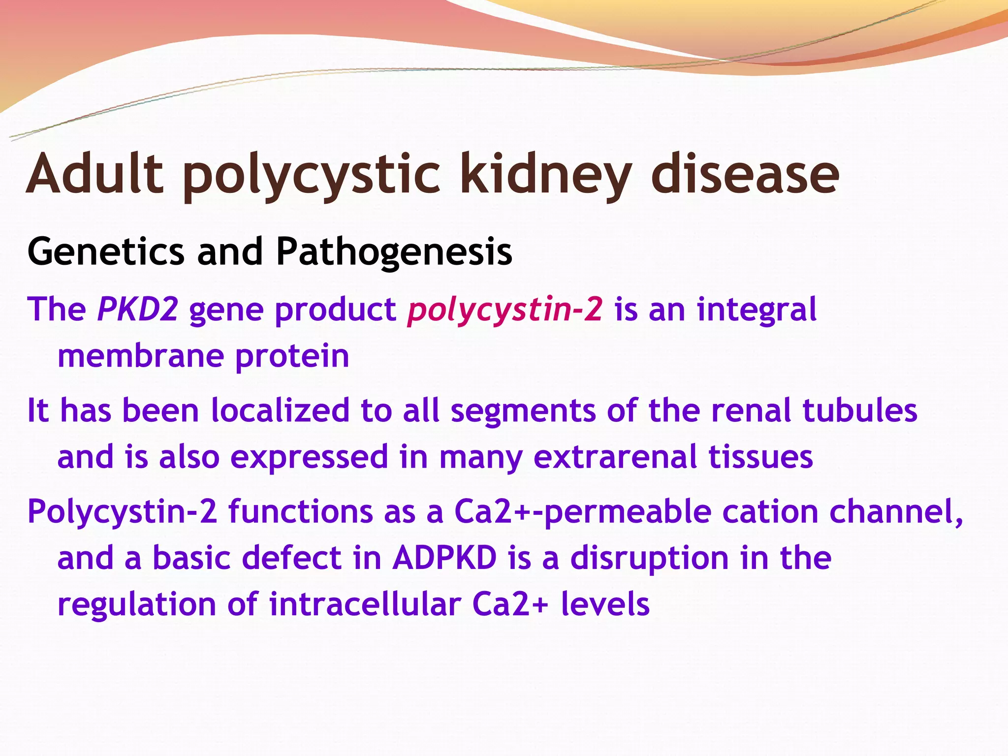 Tumors of kidney & urinary tract 2012 | PPT