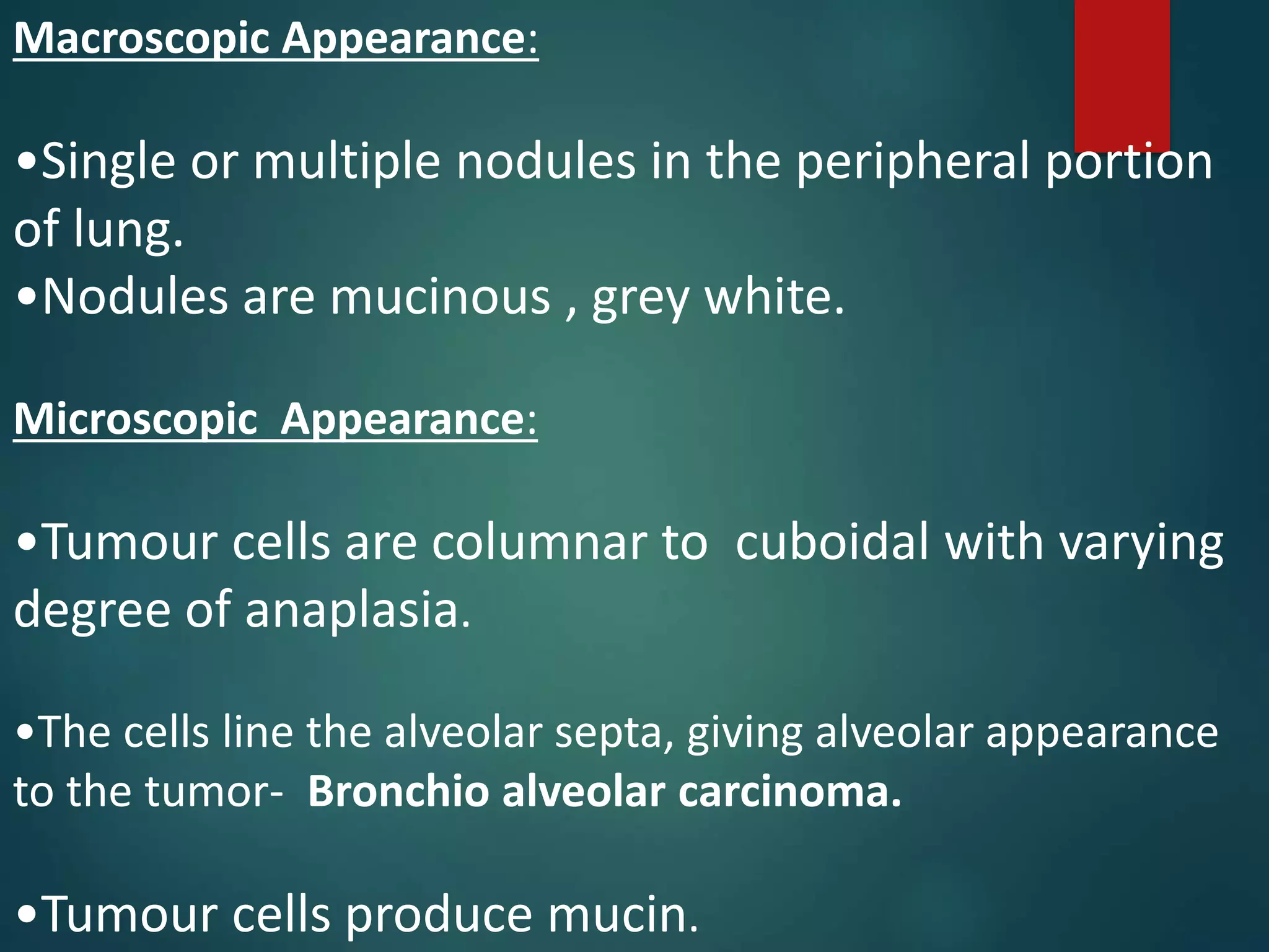Tumors of lung | PPTX