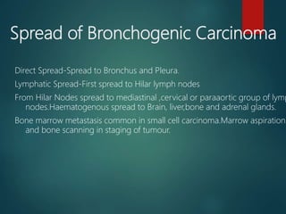 Tumors of lung | PPTX