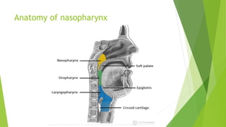 Tumors of nasopharynx.pptx