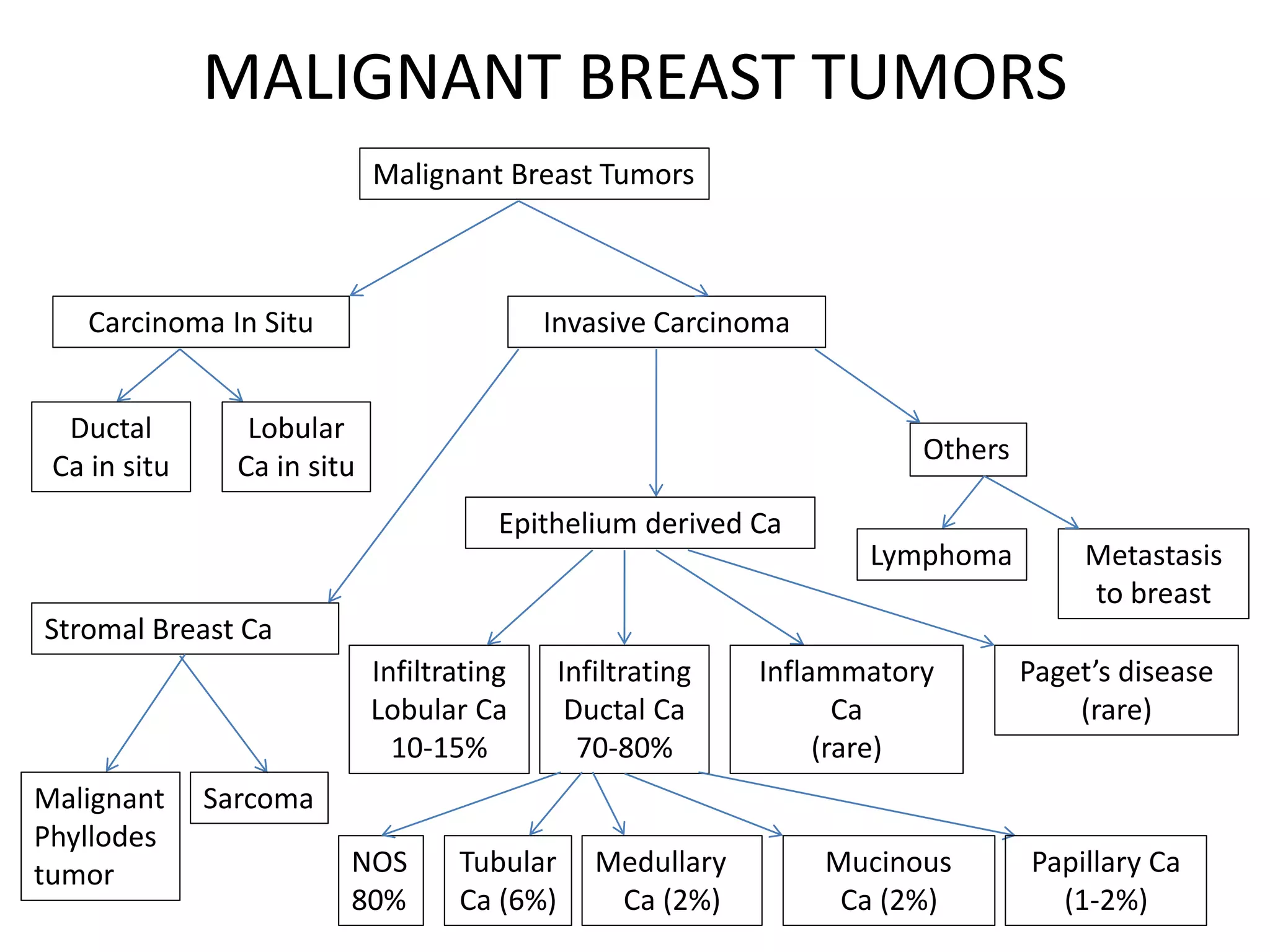 Tumors of the breast | PPTX