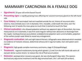 Tumors of the female genital tract | PPT