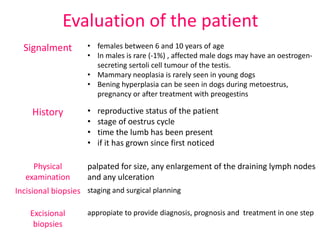 Tumors of the female genital tract | PPT