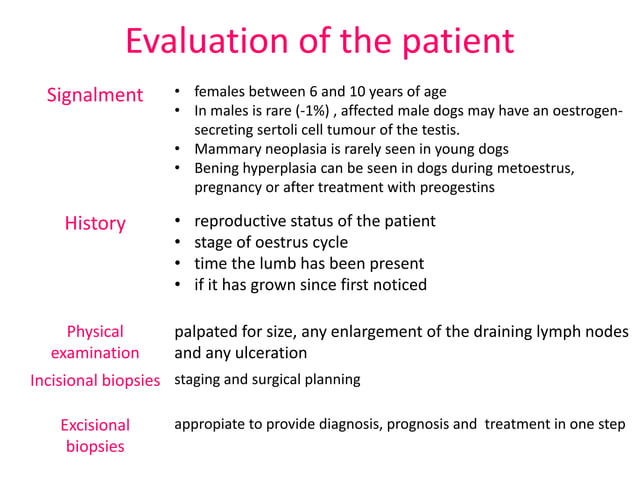Tumors Of The Female Genital Tract Ppt Free Download