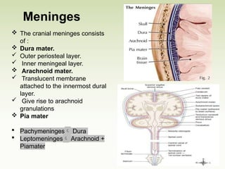 Imaging approach to Tumors of the Meninges | PPTX