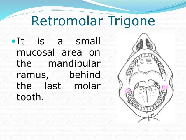Tumors of the oral cavity and oropharynx