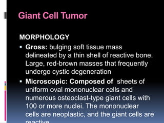 Tumors of unknown origin.ppt