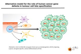 Tumor stem cell reprogramming as a driver of cancer as | PPT