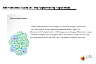 Tumor stem cell reprogramming as a driver of cancer as | PPT