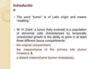 Tumor stromagenesis | PPTX
