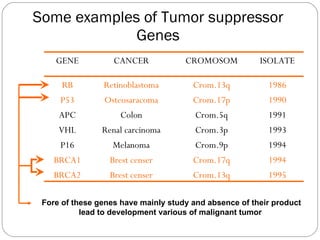 Tumor suppressor gene | PPT