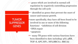 Tumor suppressor genes | PPTX