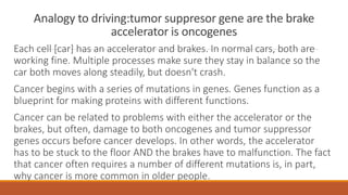 Tumor Suppressor Genes.pptx