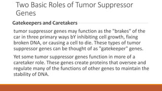 Tumor Suppressor Genes.pptx