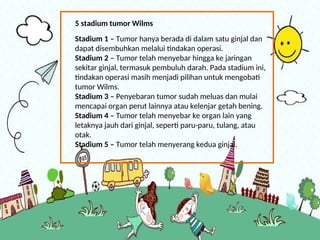 asuhan keperawatan pada anak TUMOR WILMS.ppt