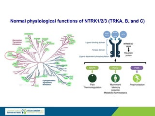 Tumour Agnostic Treatments | PPTX