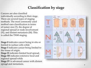 Tumour/cancer | PPTX