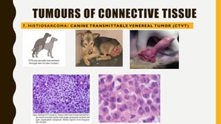 Tumours of different_tissue | PDF