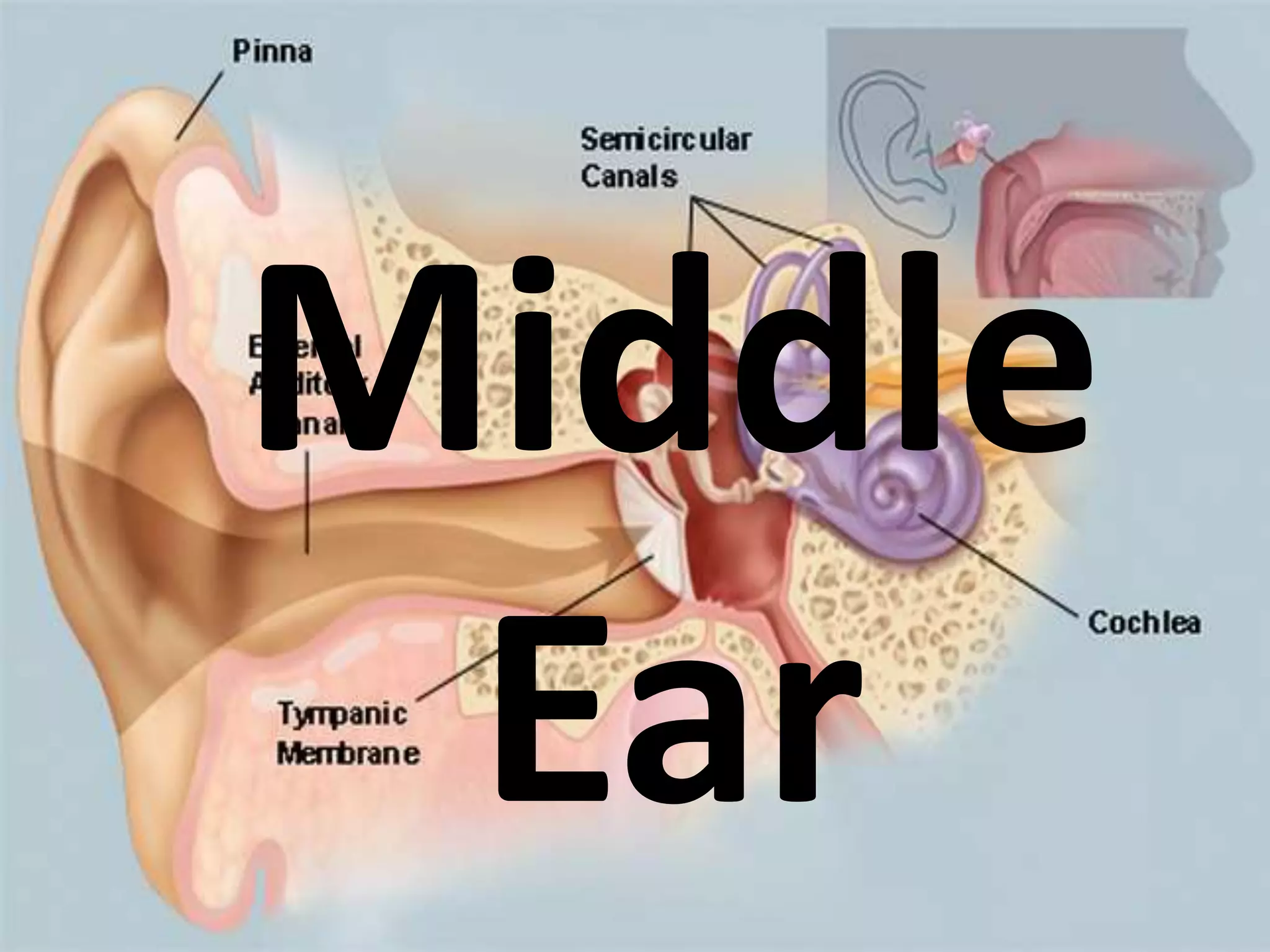 Tumours of Ear | PPTX